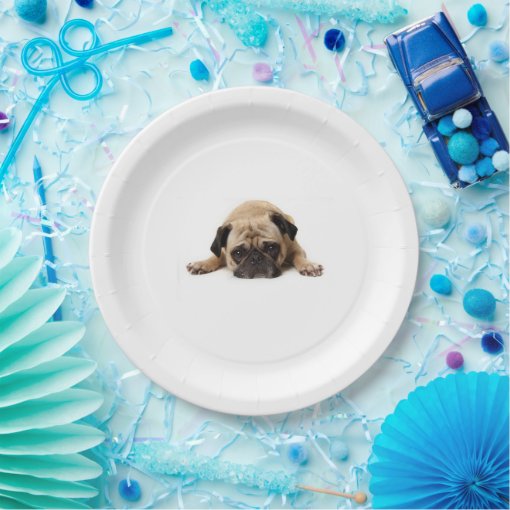 PUG PAPER PLATE | Zazzle