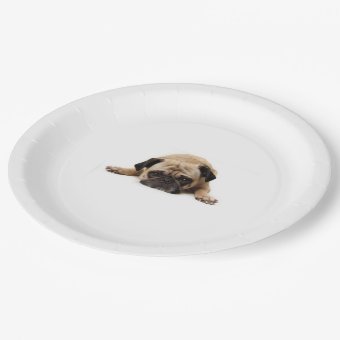 PUG PAPER PLATE | Zazzle