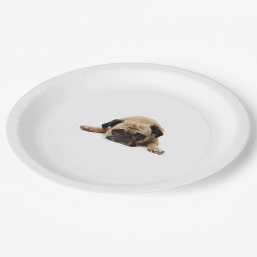 PUG PAPER PLATE | Zazzle
