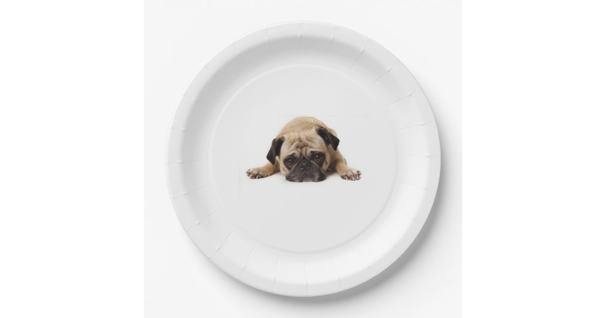 PUG PAPER PLATE | Zazzle