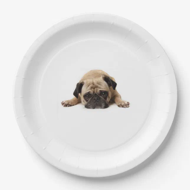 PUG PAPER PLATE | Zazzle