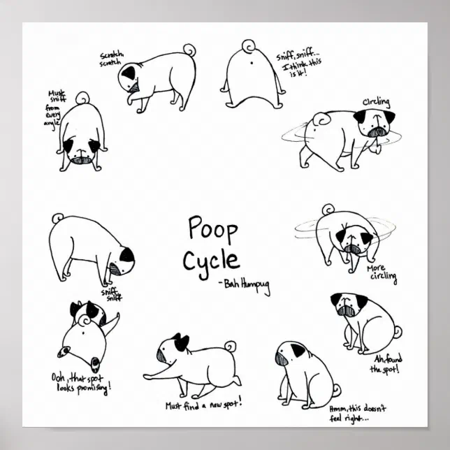 Pug Poop Cycle Poster | Zazzle