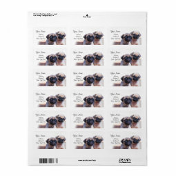 Pug Puppies Address Labels | Zazzle