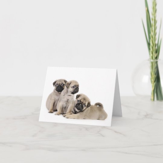 Pug Puppy Card | Zazzle.com
