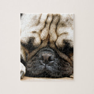 Pug Jigsaw Puzzles | Zazzle