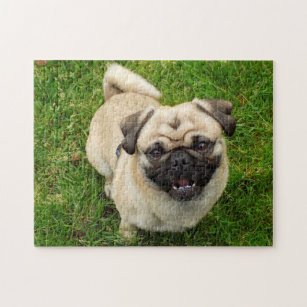 Pug Jigsaw Puzzles | Zazzle