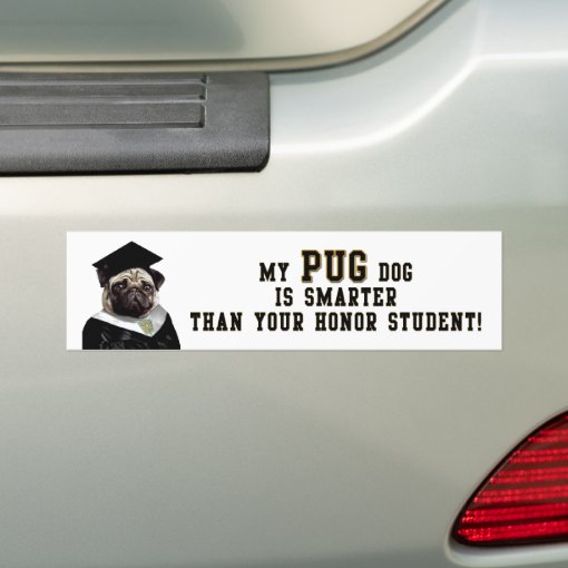 Pug smarter than honor student Bumper Sticker | Zazzle