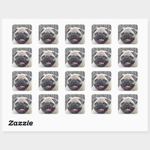 Pug Stickers | Zazzle