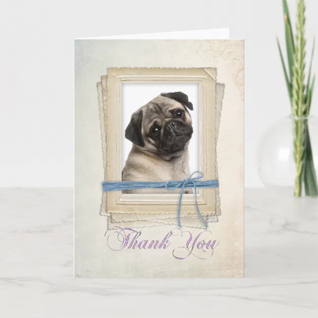 Pug Thank You Card | Zazzle