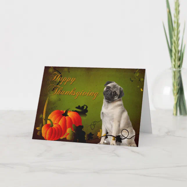 Pug Thanksgiving Card | Zazzle