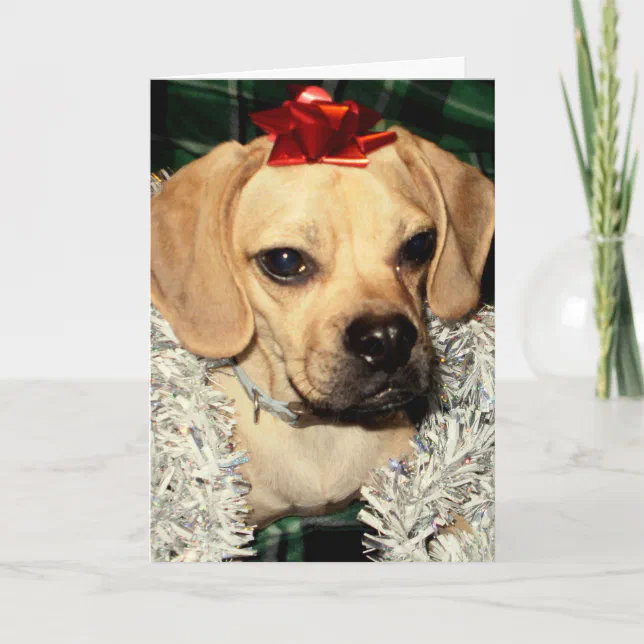 Puggle! Christmas Card | Zazzle