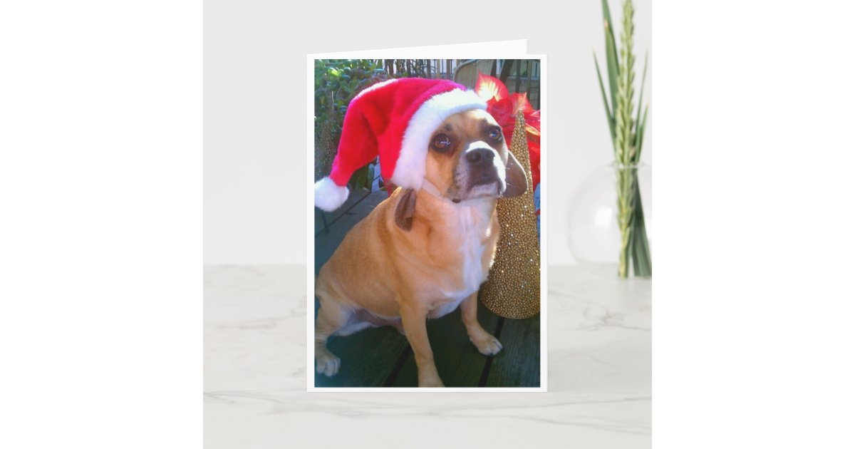 Puggle! Christmas Card | Zazzle