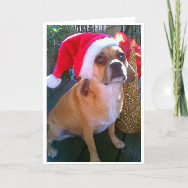 Puggle! Christmas Card | Zazzle
