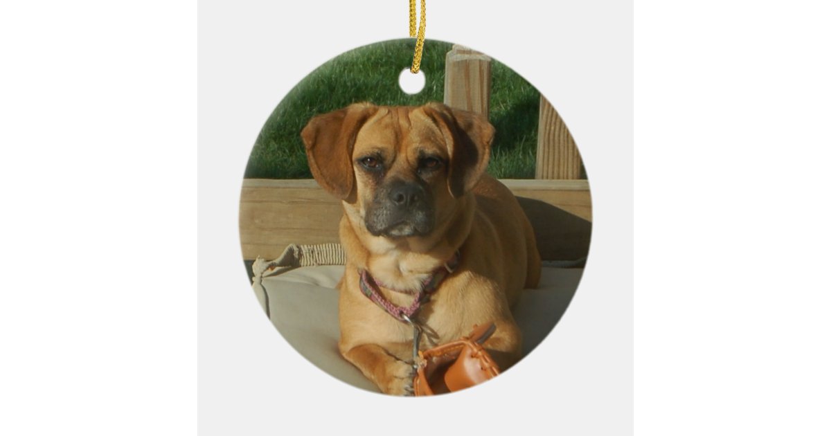 Puggle Christmas Ornament | Zazzle