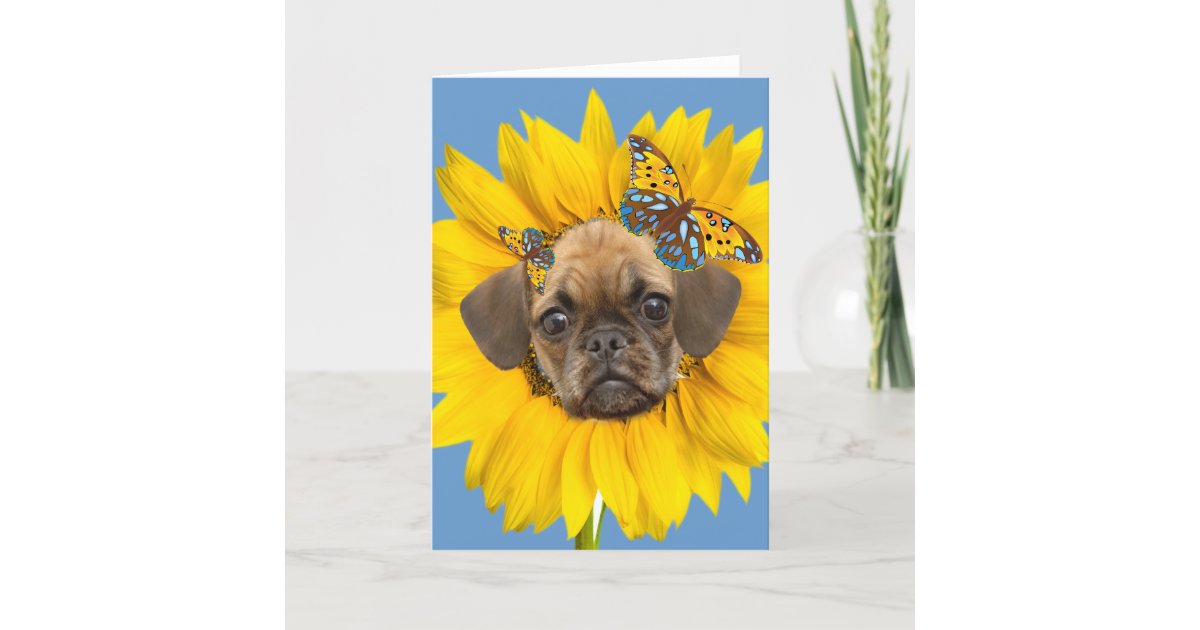 Puggle Face In A Daisy Cards | Zazzle