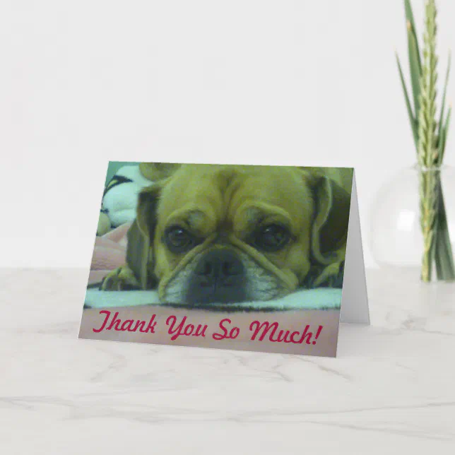 PUGGLE Thank you So Much greeting card | Zazzle