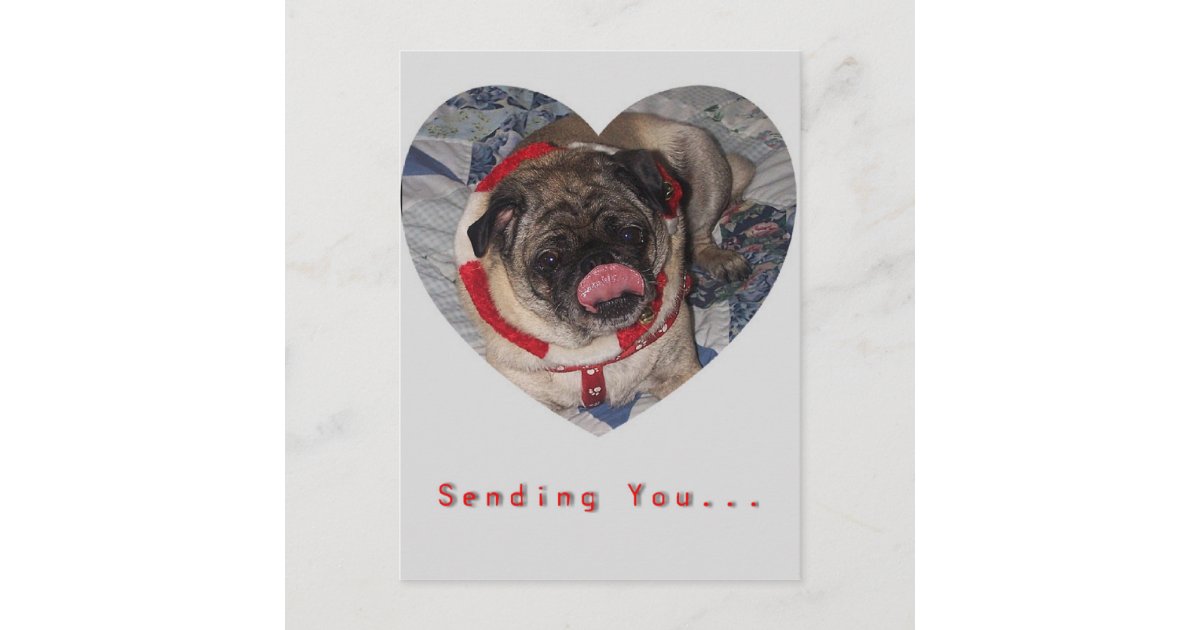 Pugs And Kisses Valentine's Day Postcard | Zazzle