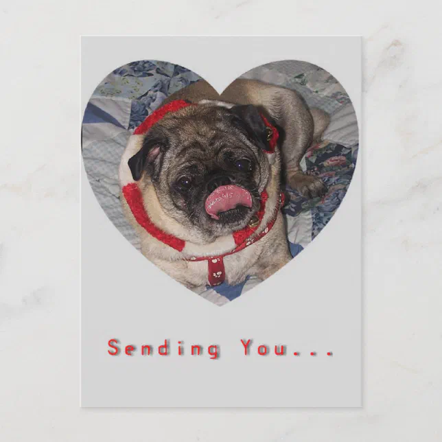 Pugs And Kisses Valentine's Day Postcard | Zazzle