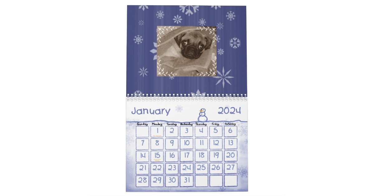 Pugs Galore Calendar | Zazzle