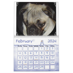 Pugs Galore Calendar | Zazzle