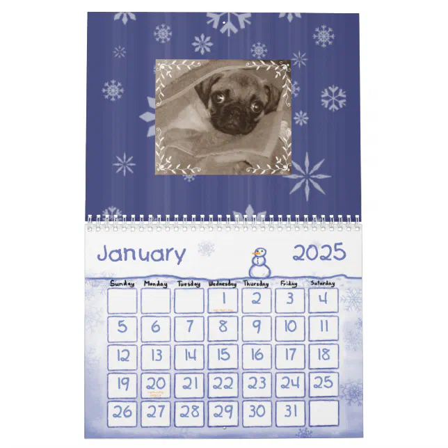 Pugs Galore Calendar | Zazzle