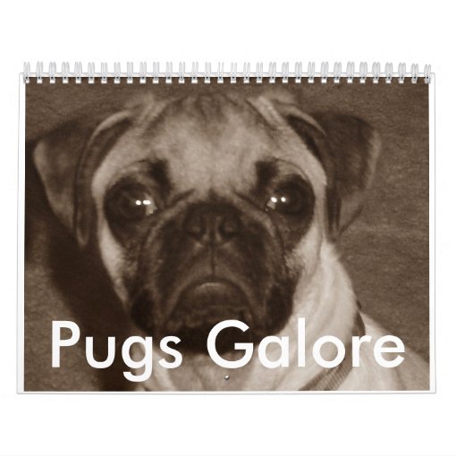 Pugs Galore Calendar | Zazzle