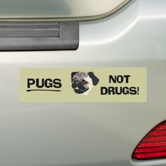 Pugs Not Drugs Bumper Sticker | Zazzle