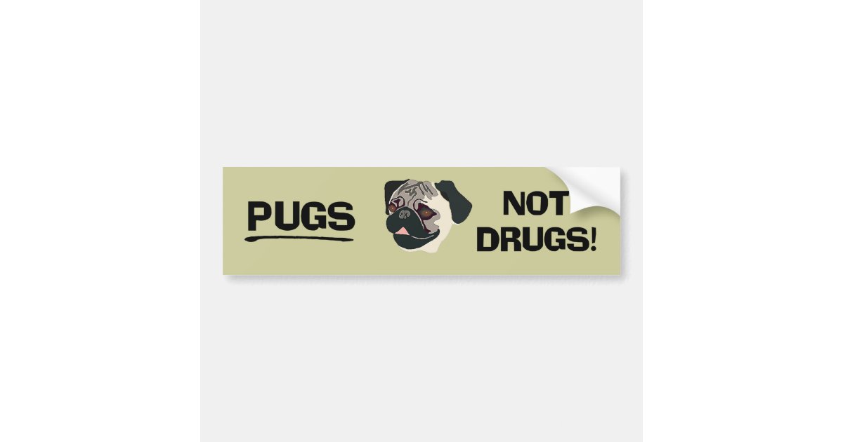 Pugs Not Drugs Bumper Sticker | Zazzle