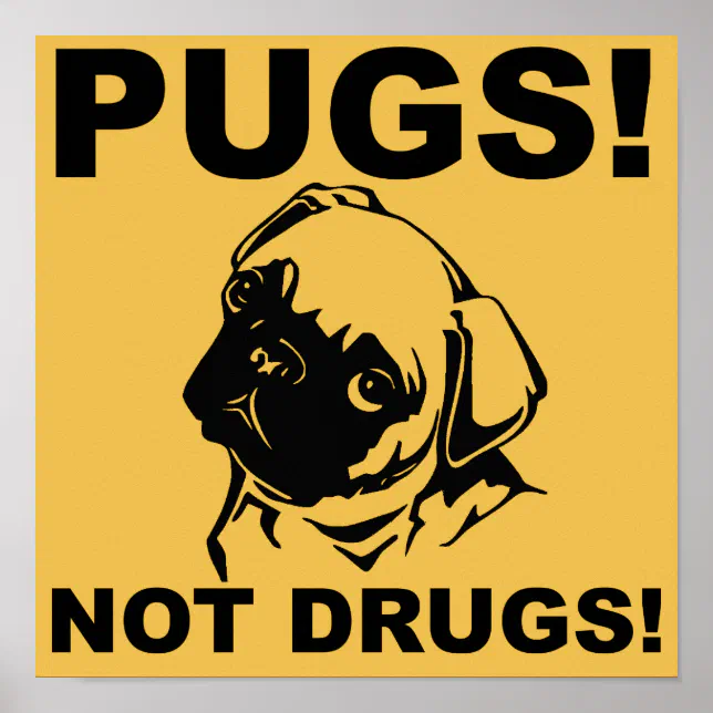 Pugs Not Drugs Funny Poster Sign Sayings | Zazzle