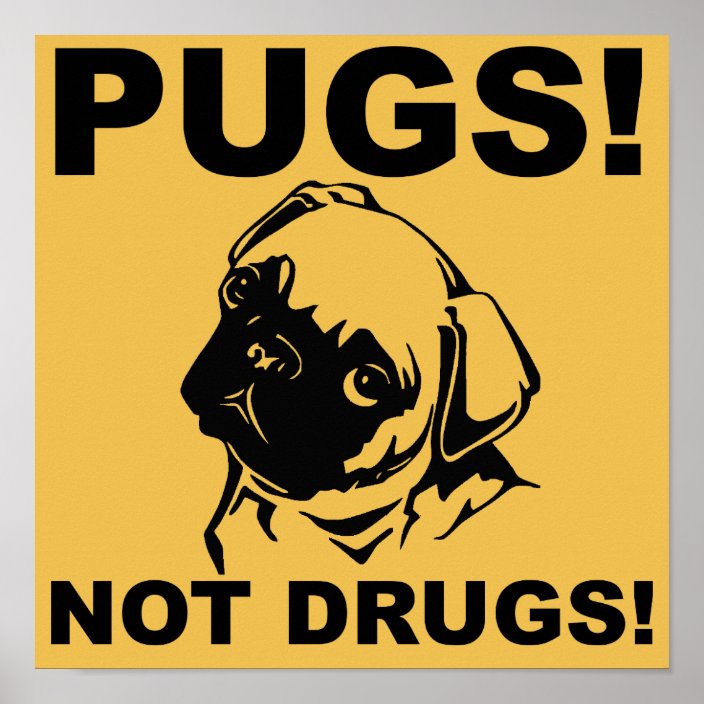 Pugs Not Drugs Funny Poster Sign Sayings | Zazzle.com