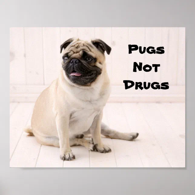 Pugs Not Drugs Poster | Zazzle