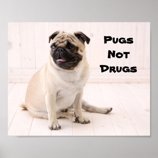 Pugs Not Drugs Poster | Zazzle.com