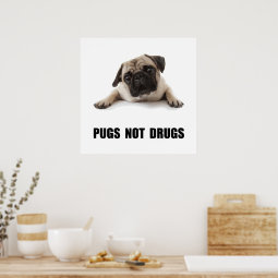 Pugs Not Drugs Poster | Zazzle