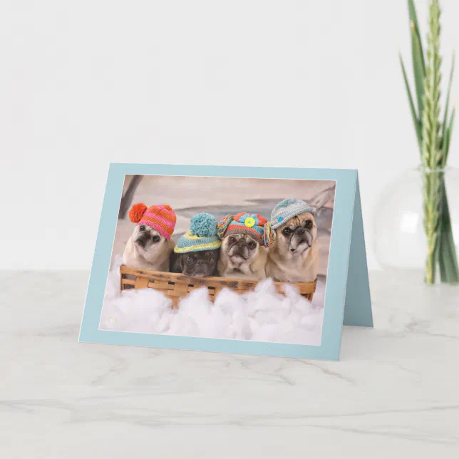 Pugs "Peace to You" Holiday Cards Pugs and Kisses | Zazzle
