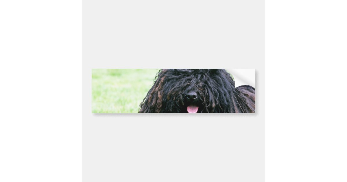 Puli Dog Bumper Sticker | Zazzle