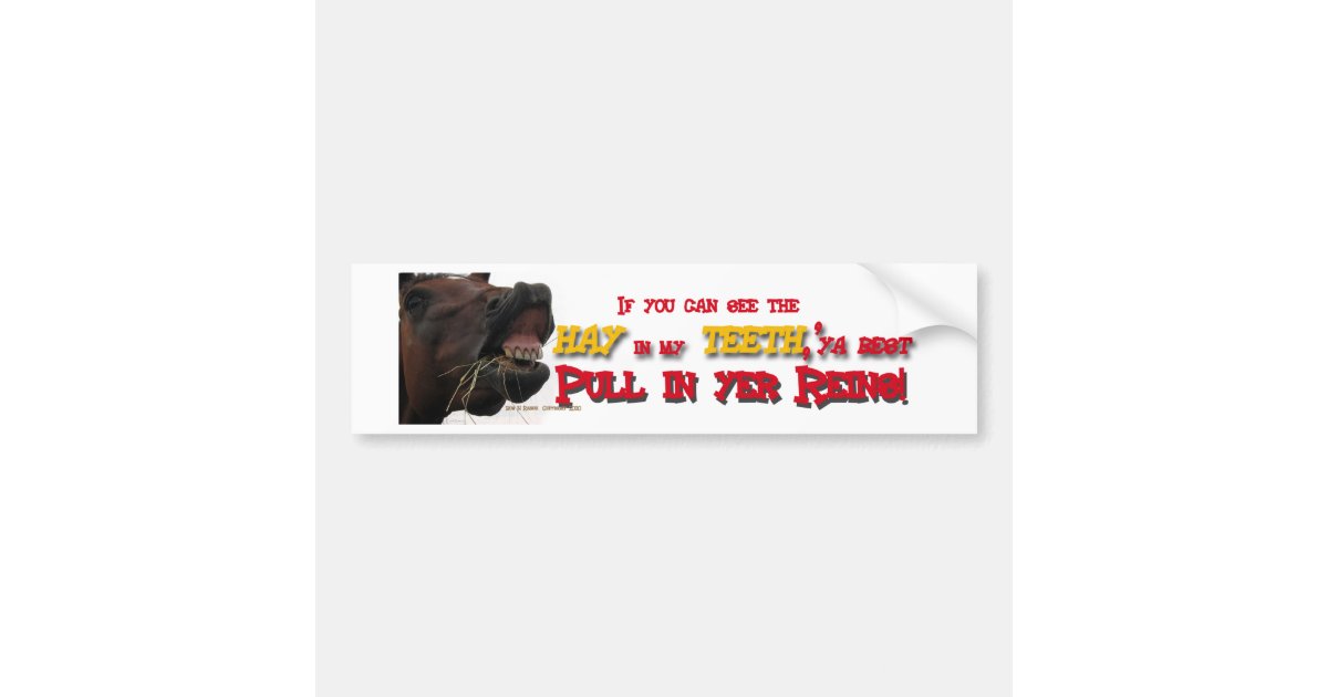 Pull in reins Funny Horse Bumper Sticker | Zazzle