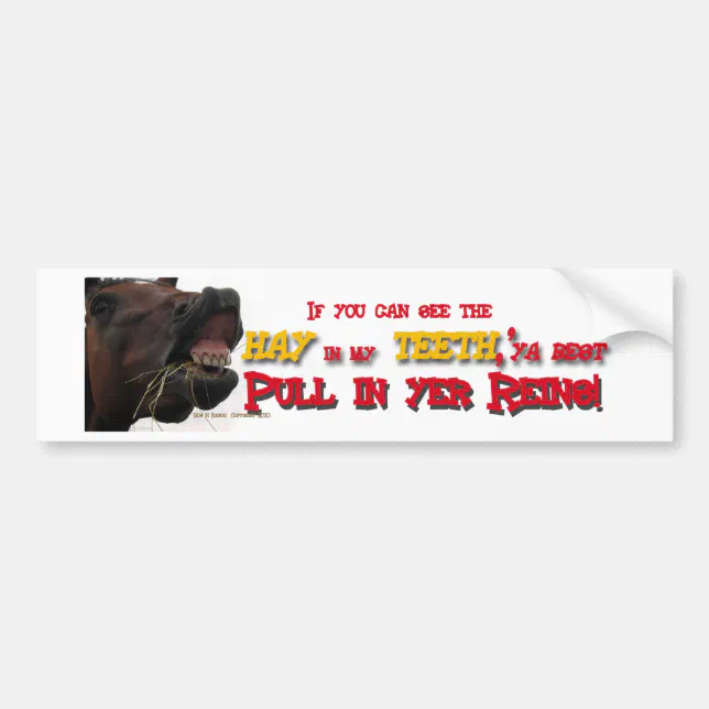 Pull in reins Funny Horse Bumper Sticker | Zazzle