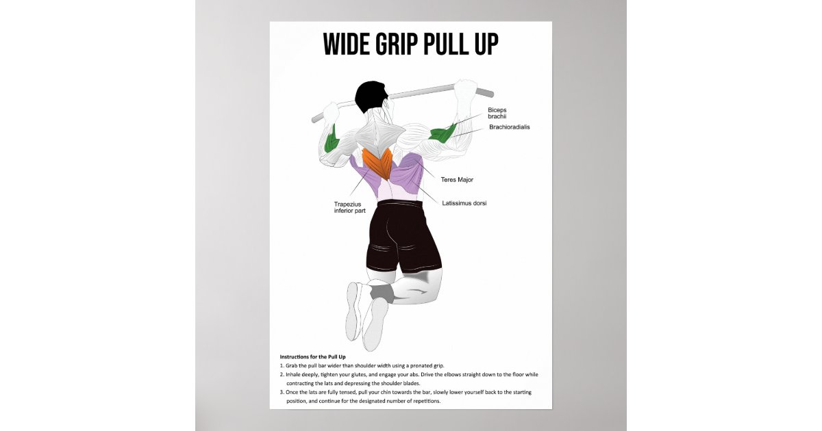Pull-Up - Exercise - Muscle Anatomy Chart | Zazzle