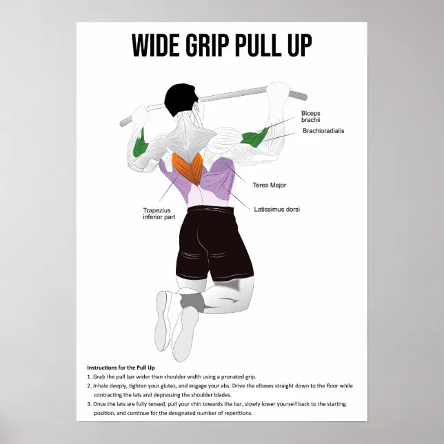 Pull-Up - Exercise - Muscle Anatomy Chart | Zazzle