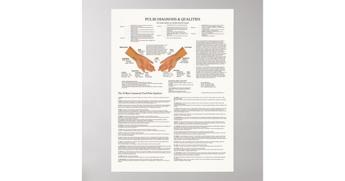 Pulse Diagnosis Acupuncture Chart | Zazzle