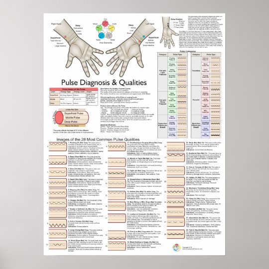 Pulse Diagnosis Acupuncture TCM Poster | Zazzle.com