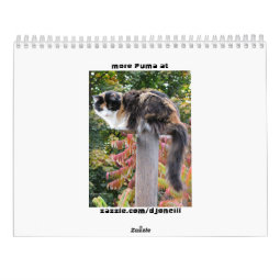Puma Cat, My Supermodel Calico II Calendar | Zazzle