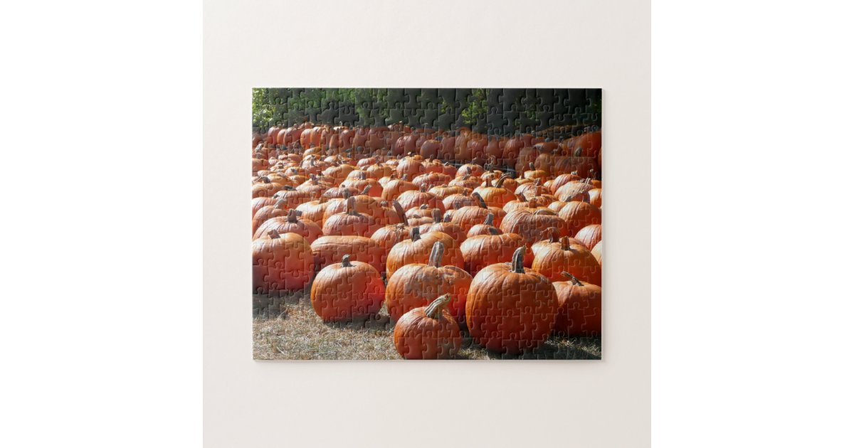 Pumpkin Patch Autumn Harvest Photography Jigsaw Puzzle | Zazzle