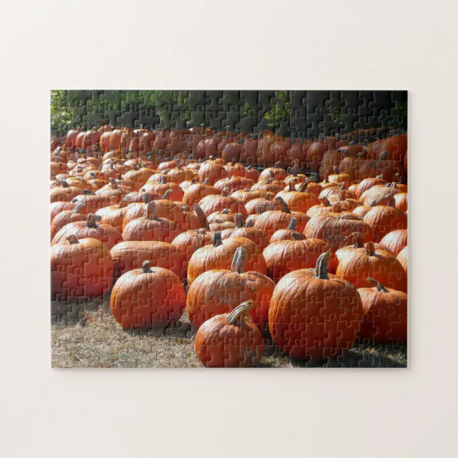 Pumpkin Patch Autumn Harvest Photography Jigsaw Puzzle | Zazzle