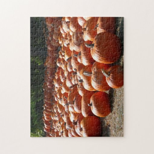 Pumpkin Patch Autumn Harvest Photography Jigsaw Puzzle | Zazzle