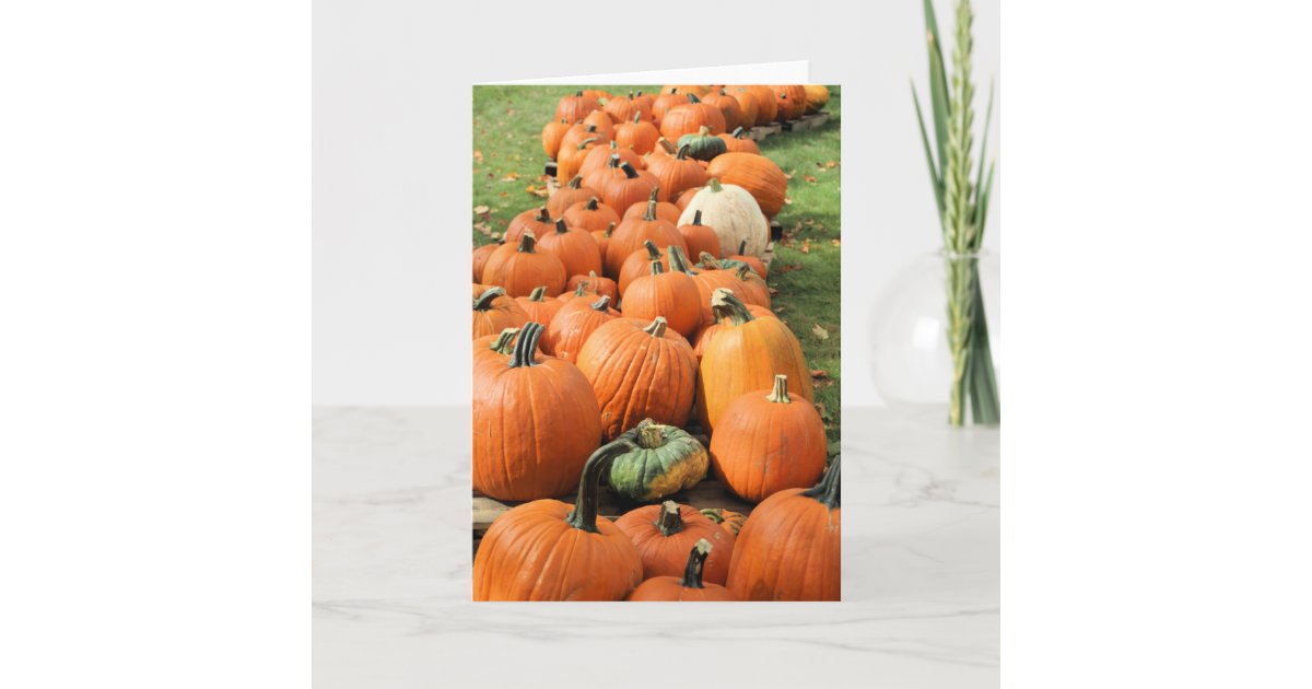 Pumpkin Patch Card | Zazzle