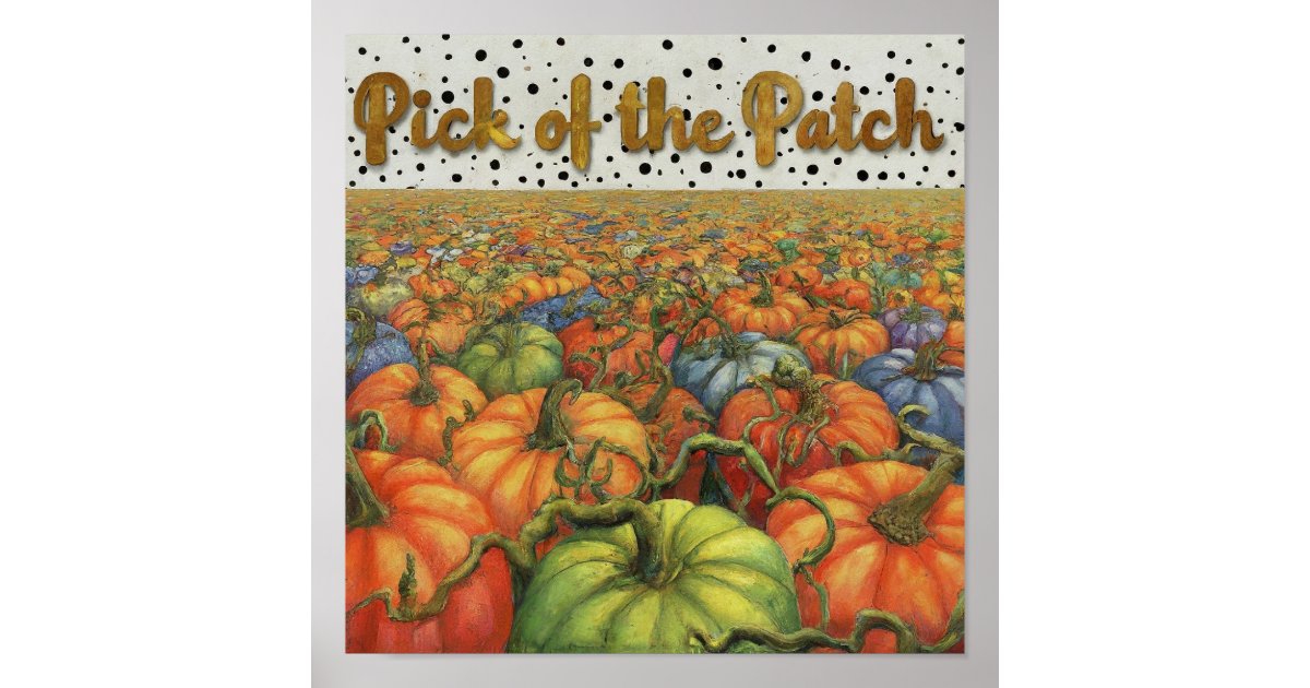 Pumpkin Patch: Pick of the Patch Poster | Zazzle