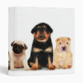 Puppies binder | Zazzle