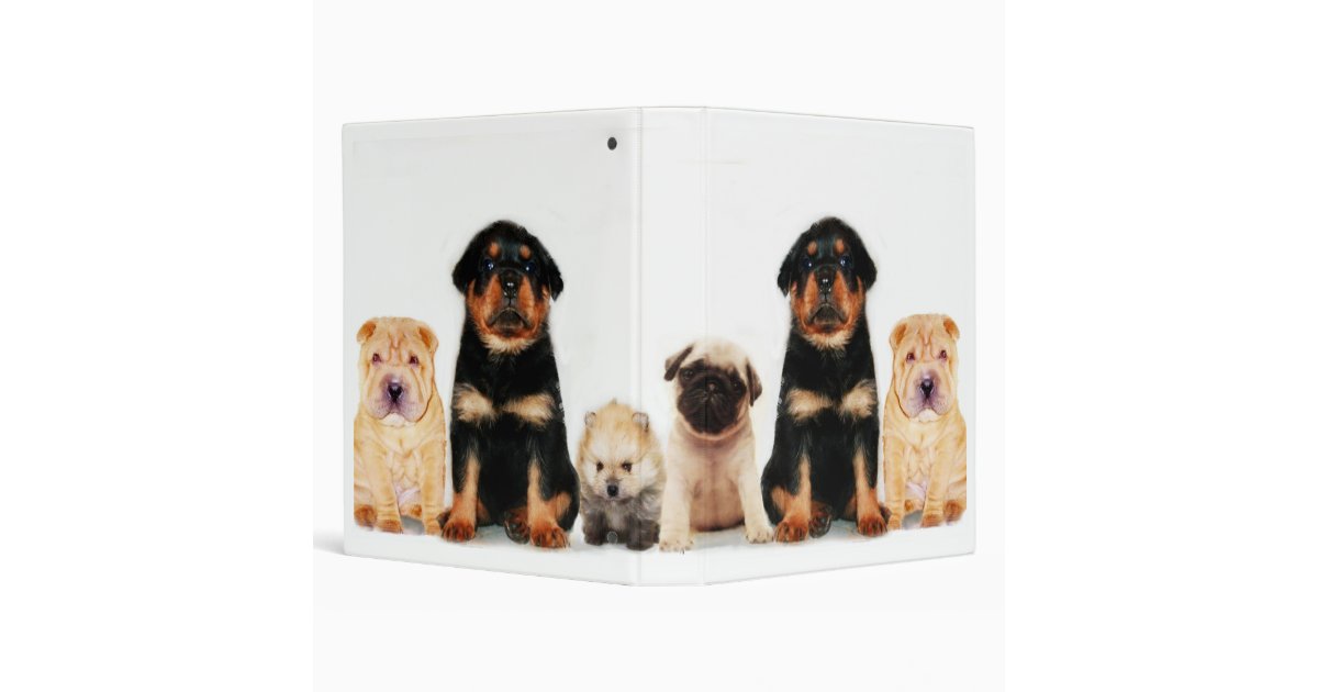 Puppies binder | Zazzle