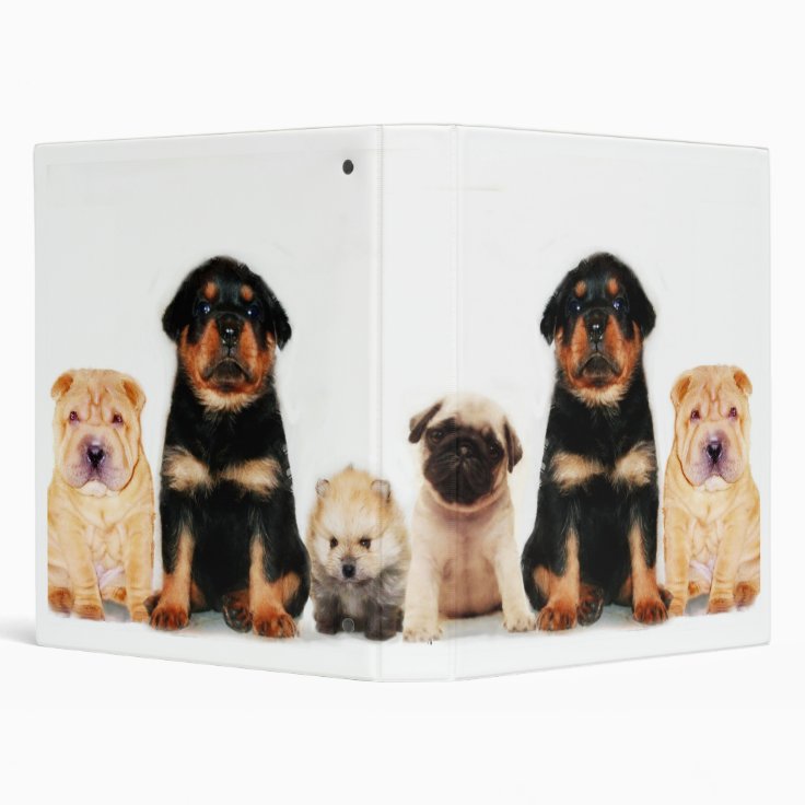 Puppies binder | Zazzle